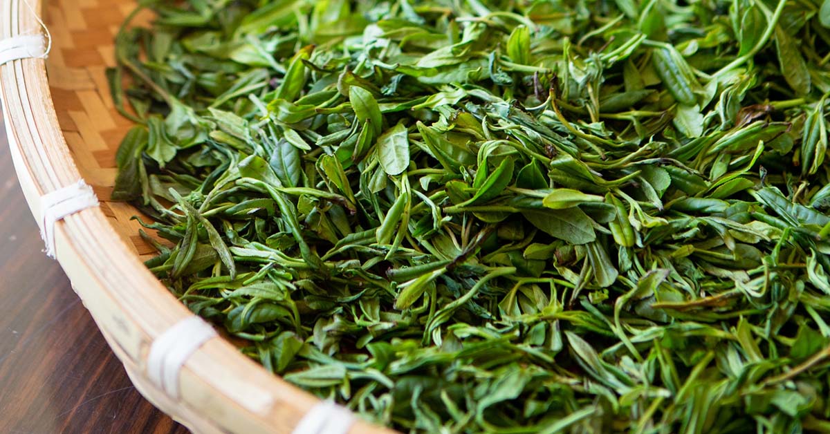 Oolong Names in Taiwan: Varieties, Regions, and Styles - Taiwanleaftea.com