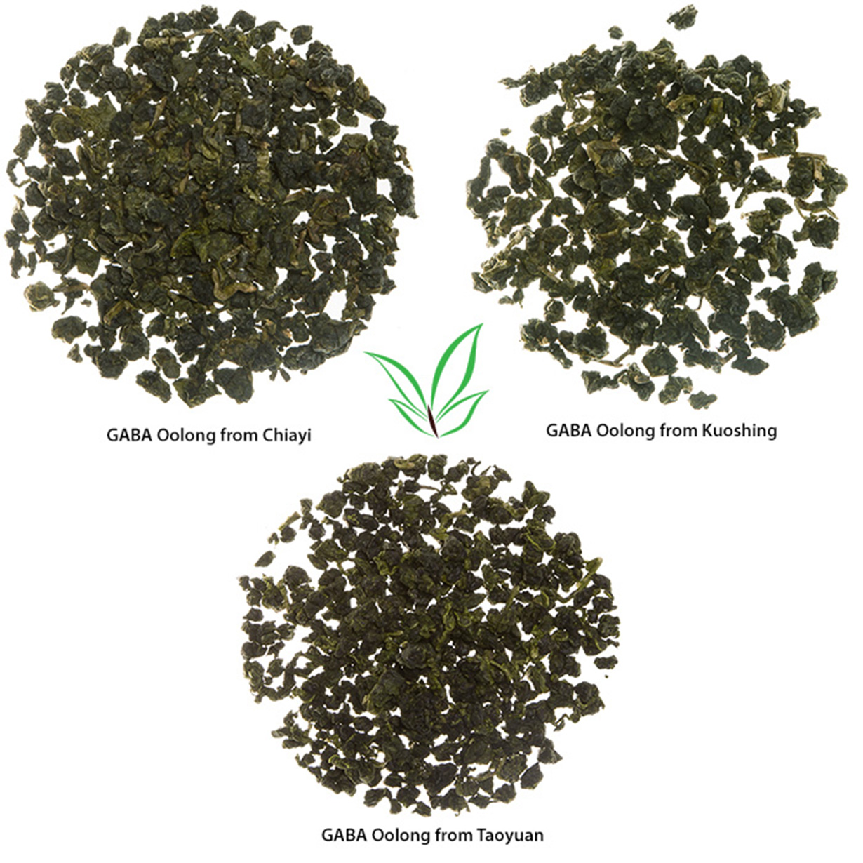 Buy Selection of GABA Teas (3 teas) from Taiwan - Taiwanleaftea.com